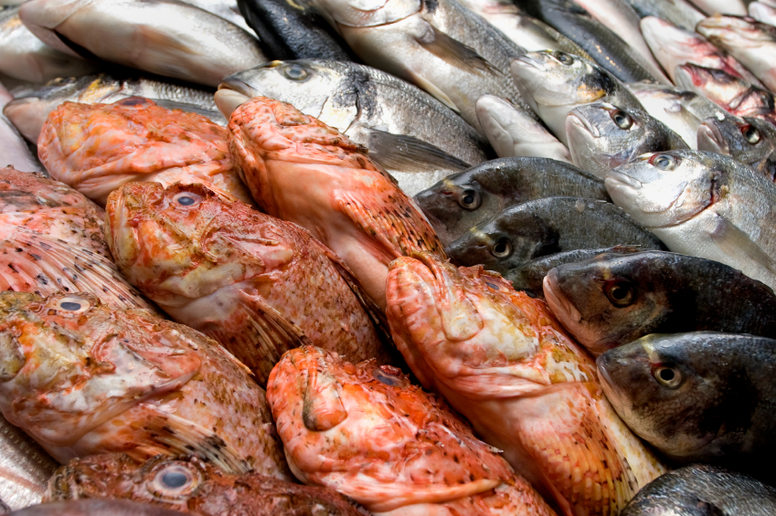 4 Fish To NEVER Eat (Avoid These Like The Plague) - Pretty Happy Healthy